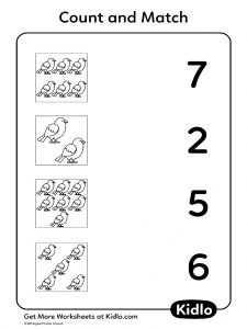 Count And Match - Birds Worksheet #07 - Kidlo.com